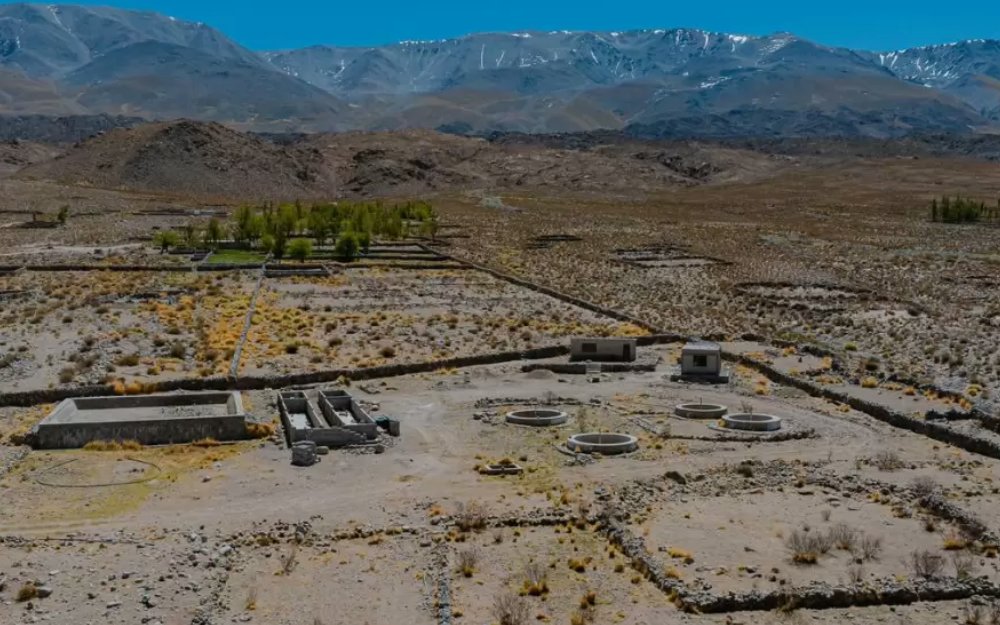 "Arco Iris de la Puna": Un proyecto productivo y sustentable que impulsa el desarrollo en Laguna ...